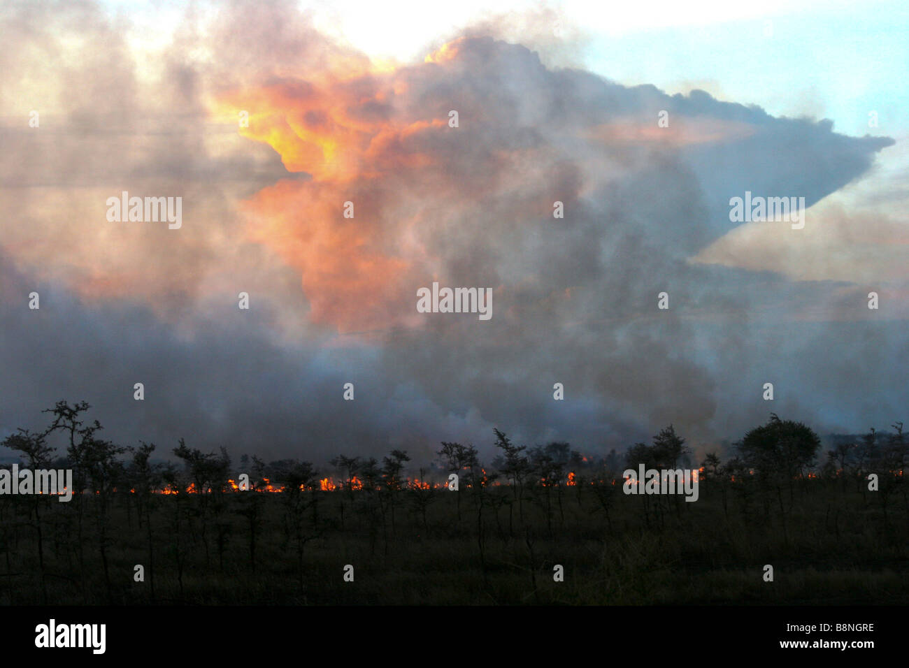 Bush fire africa hi-res stock photography and images - Alamy