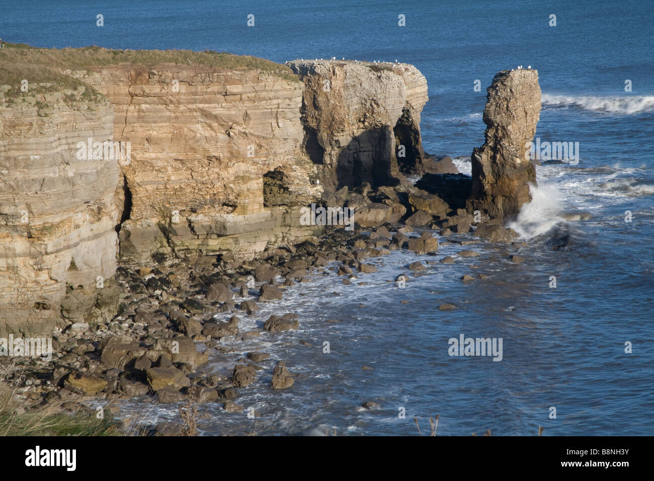 South shields coast hi-res stock photography and images - Alamy