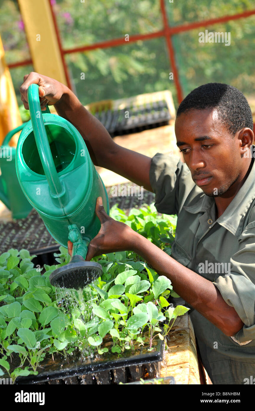 Black people farming plants hi-res stock photography and images - Alamy