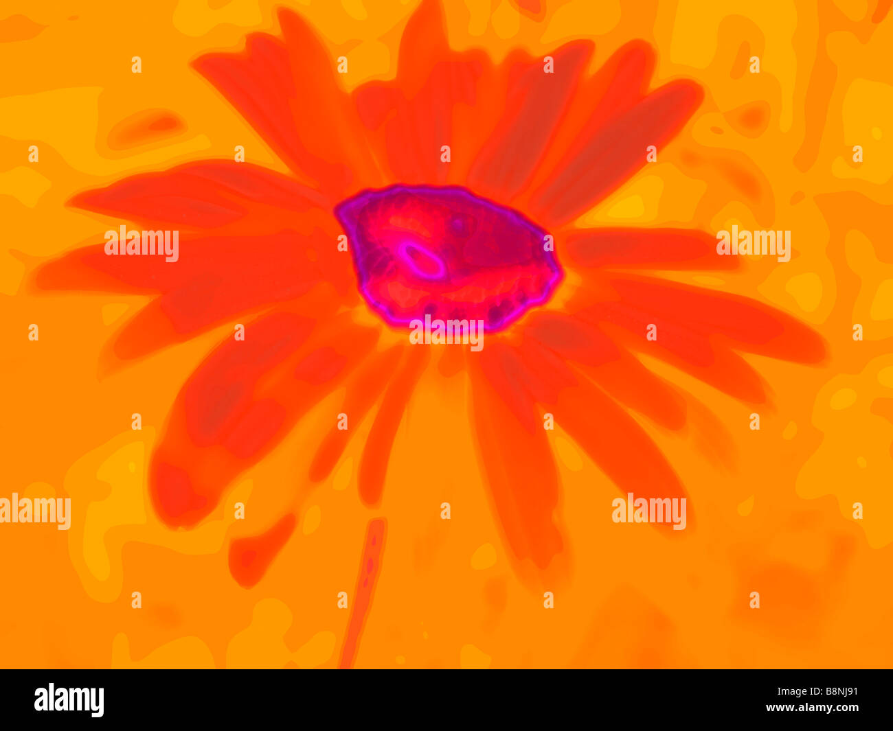 Painterly Image if Burning Red Single Daisy Flower Stock Photo - Alamy