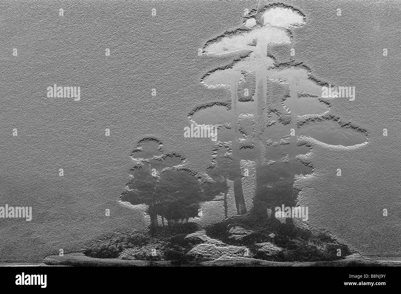 Emsossed Group of Bonsai Trees Stock Photo - Alamy
