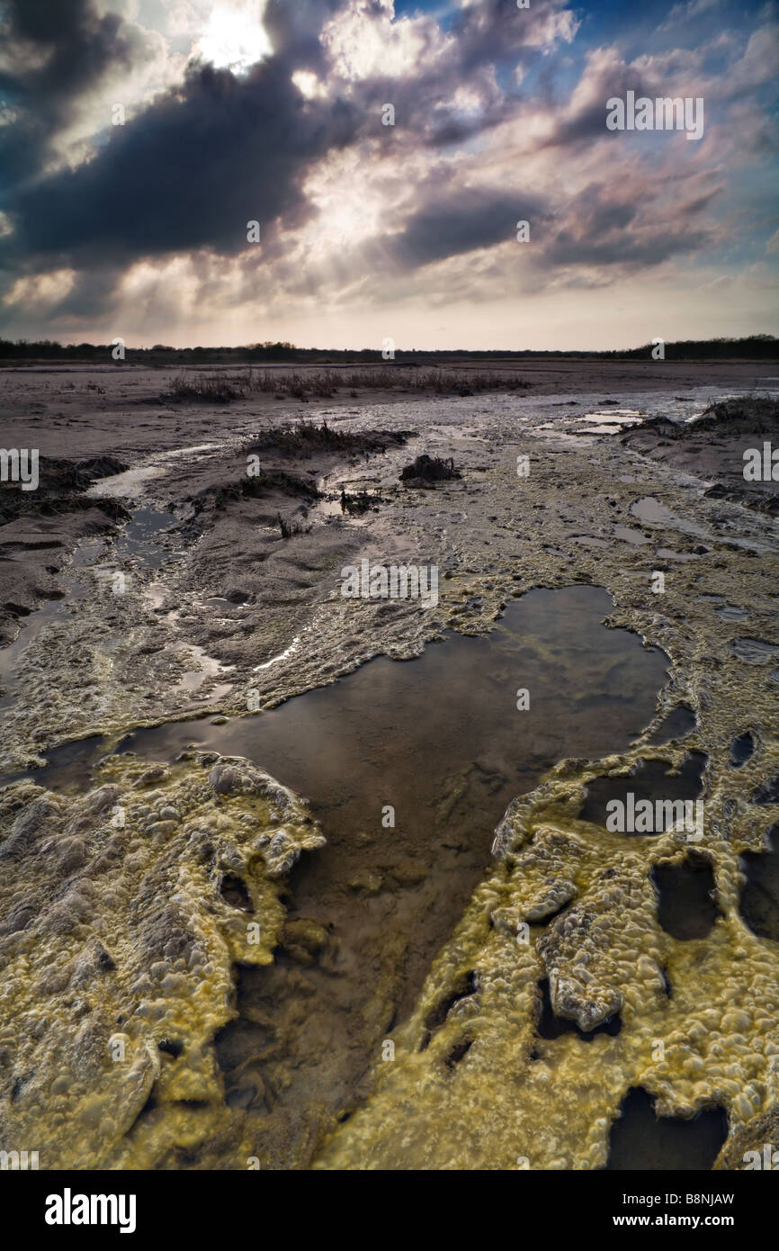 Algae collecting on a small flow of water near a salt lake La Sal Del ...
