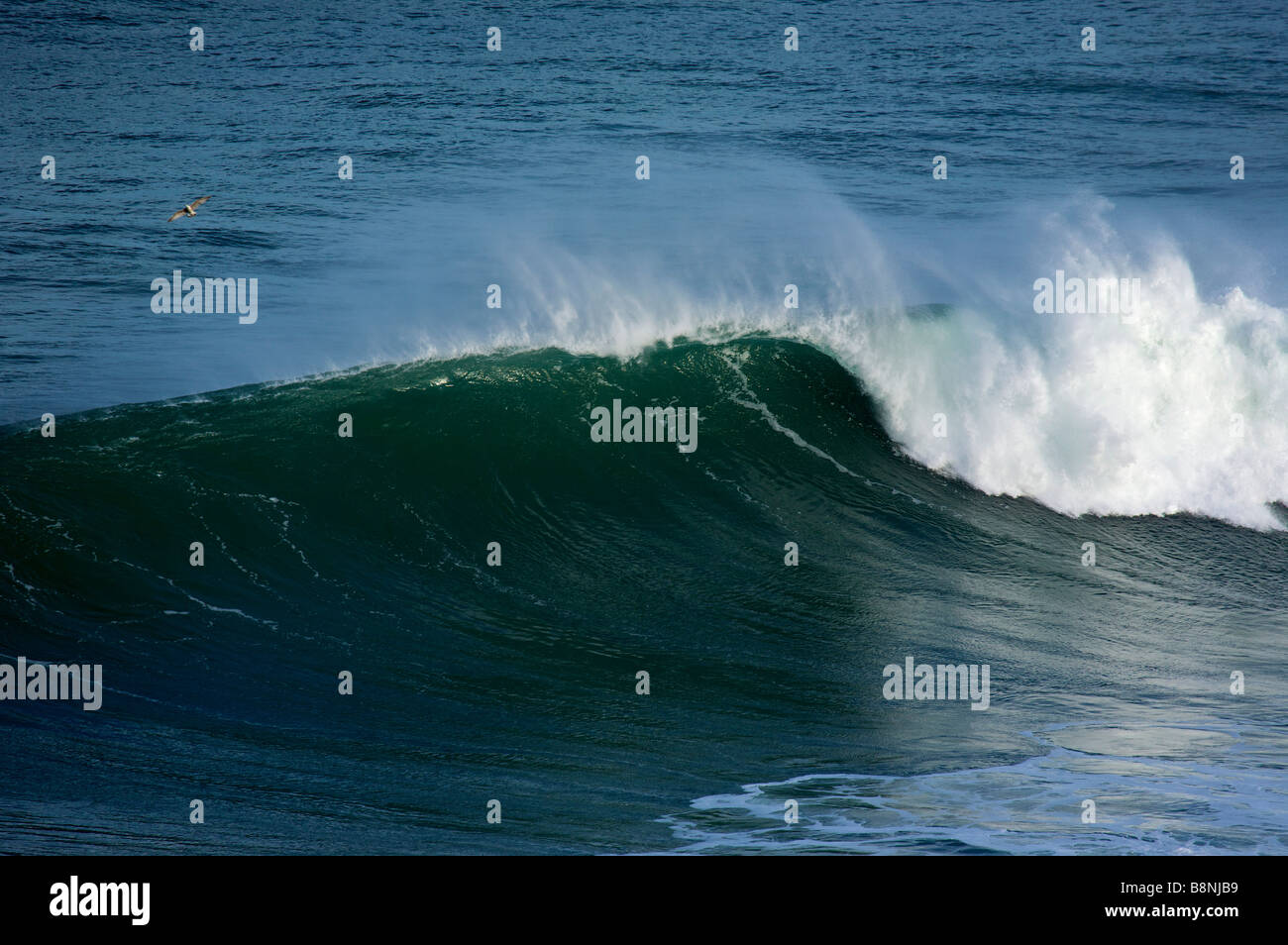 Blowing wave hi-res stock photography and images - Alamy