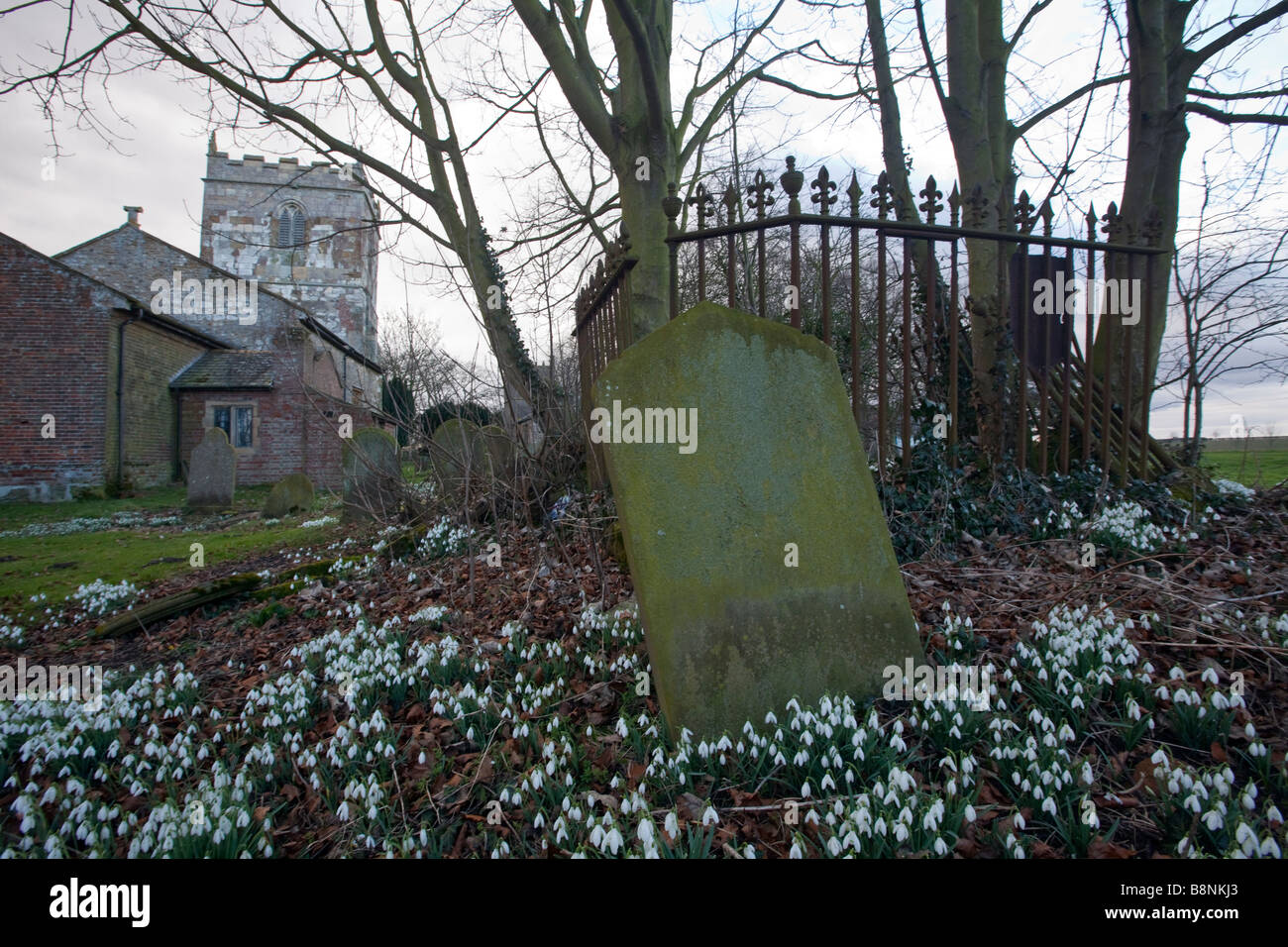 Alvingham hi-res stock photography and images - Alamy