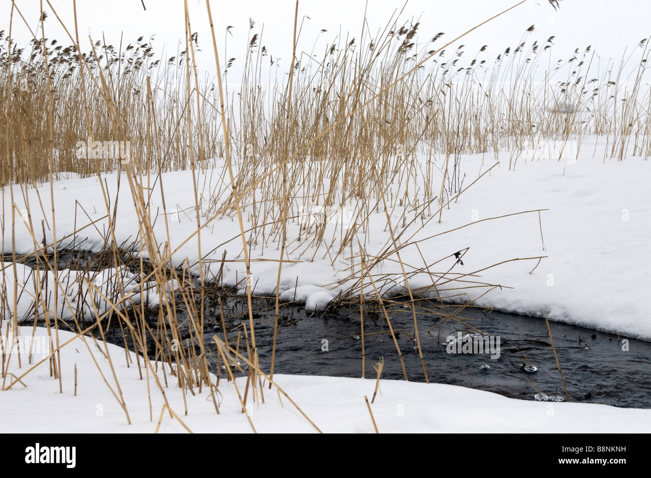 Thaw thawing ice breaking hi-res stock photography and images - Alamy