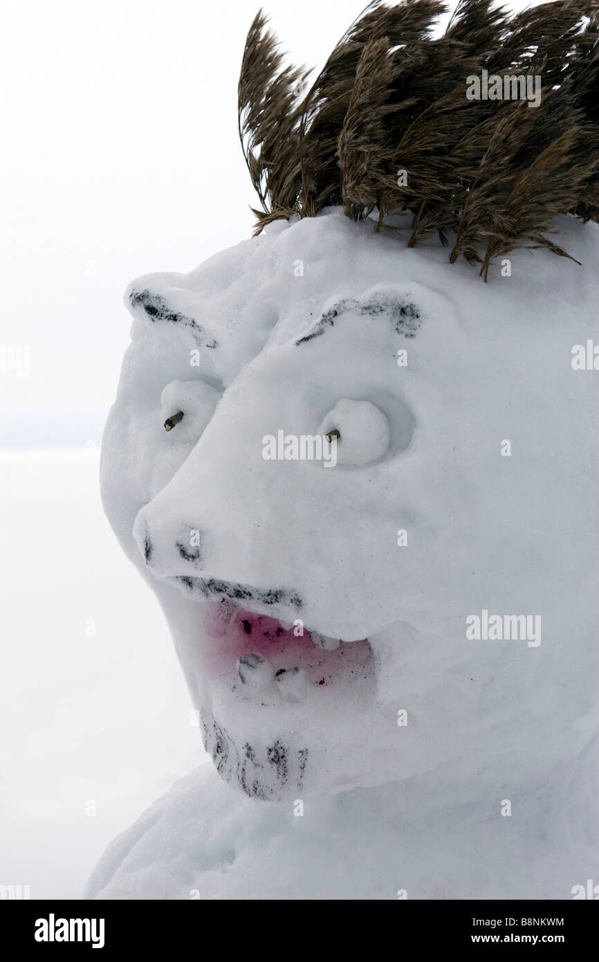 Scary snowman ogre face Stock Photo - Alamy
