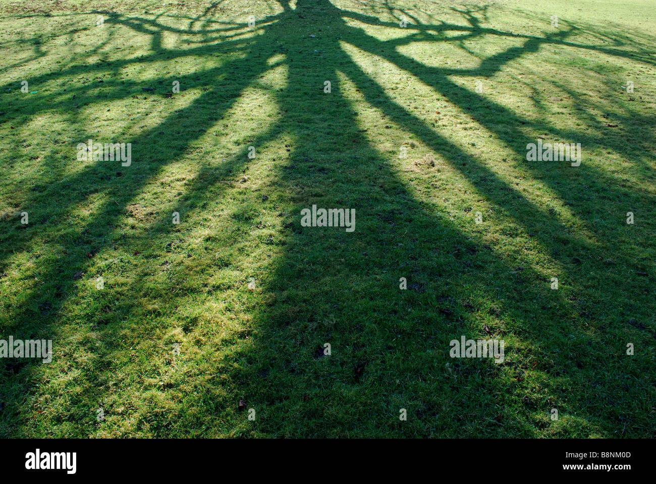 Trent park and london hi-res stock photography and images - Alamy