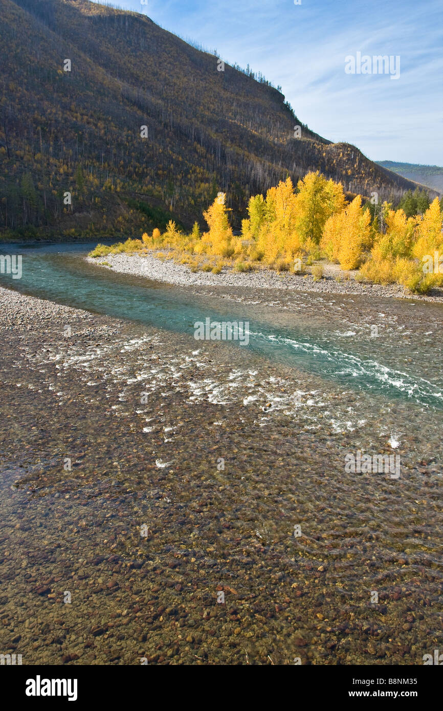 powerful river flows past mountain and colorful forest Stock Photo - Alamy