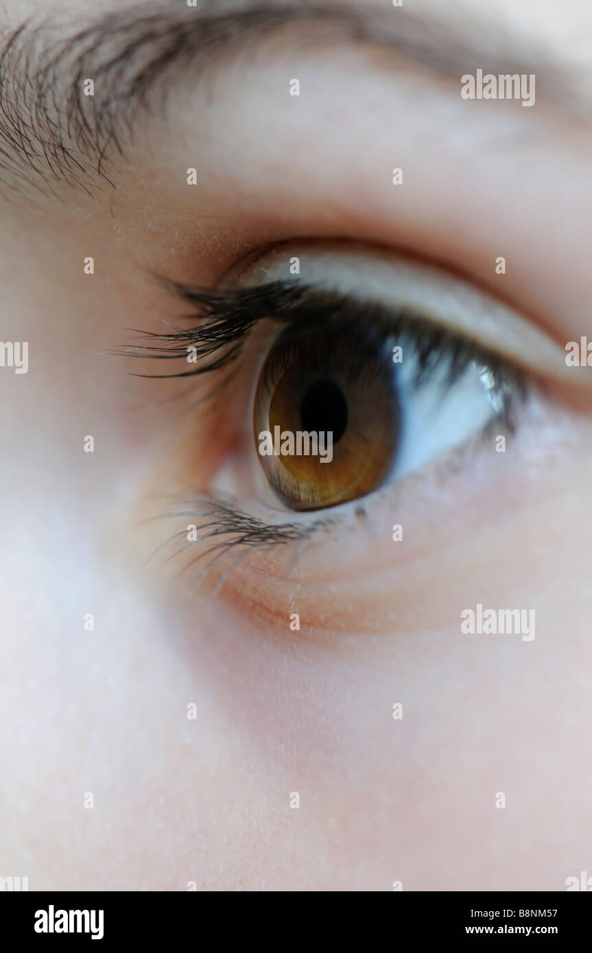 Eye socket hi-res stock photography and images - Alamy