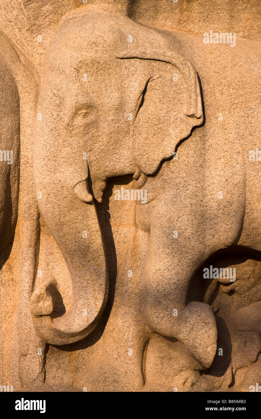 India Tamil Nadu Mamallapuram Arjunas Penance Hindu rock carving ...