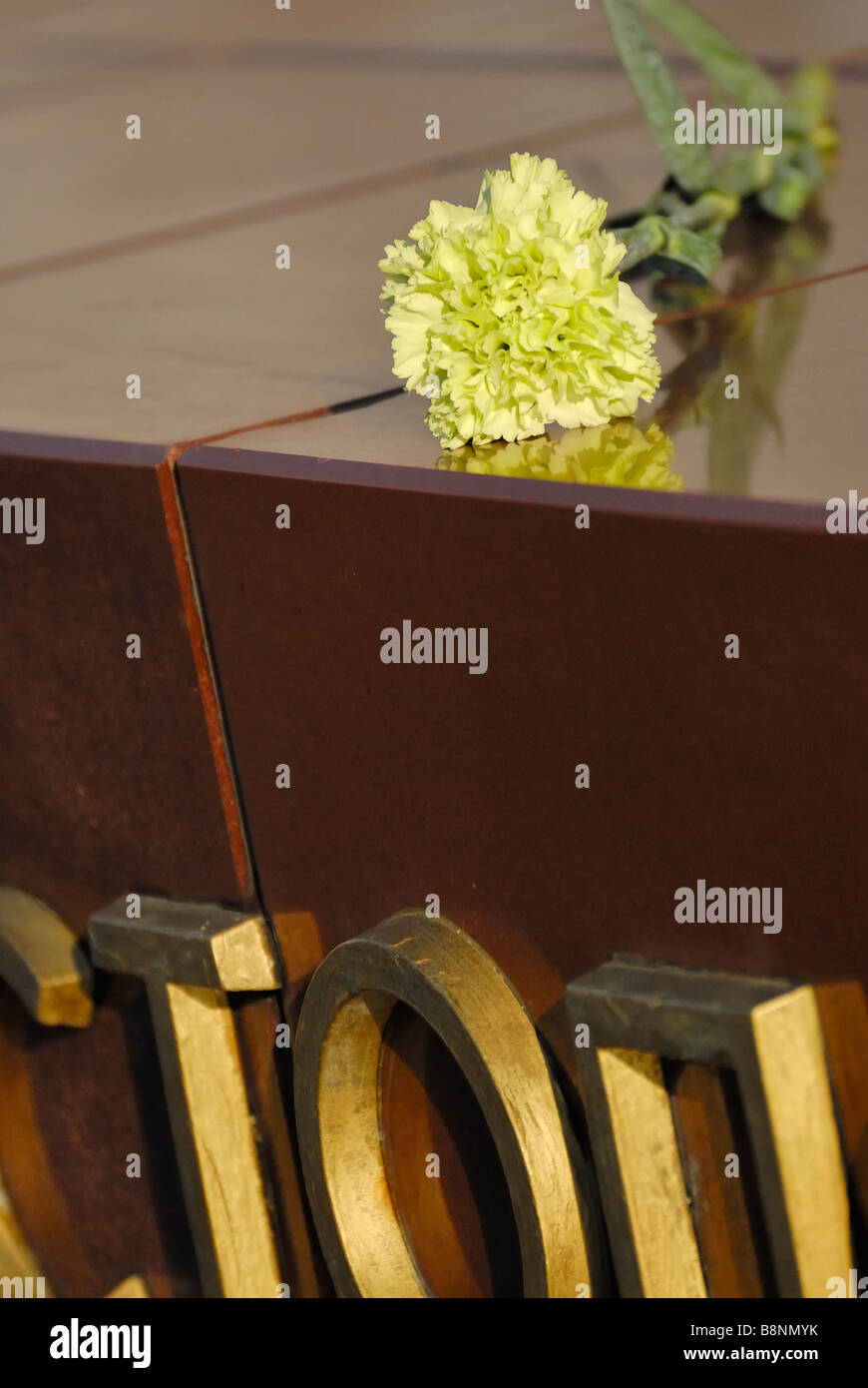 Flower of yellow carnation on the stone of obelisk at front of Kremlin ...