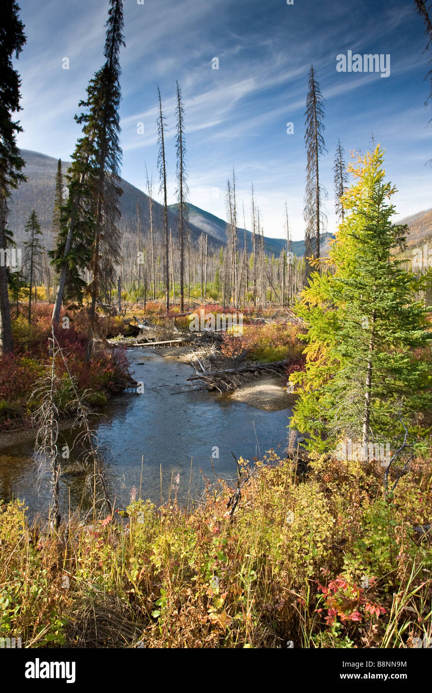 Rin river hi-res stock photography and images - Alamy