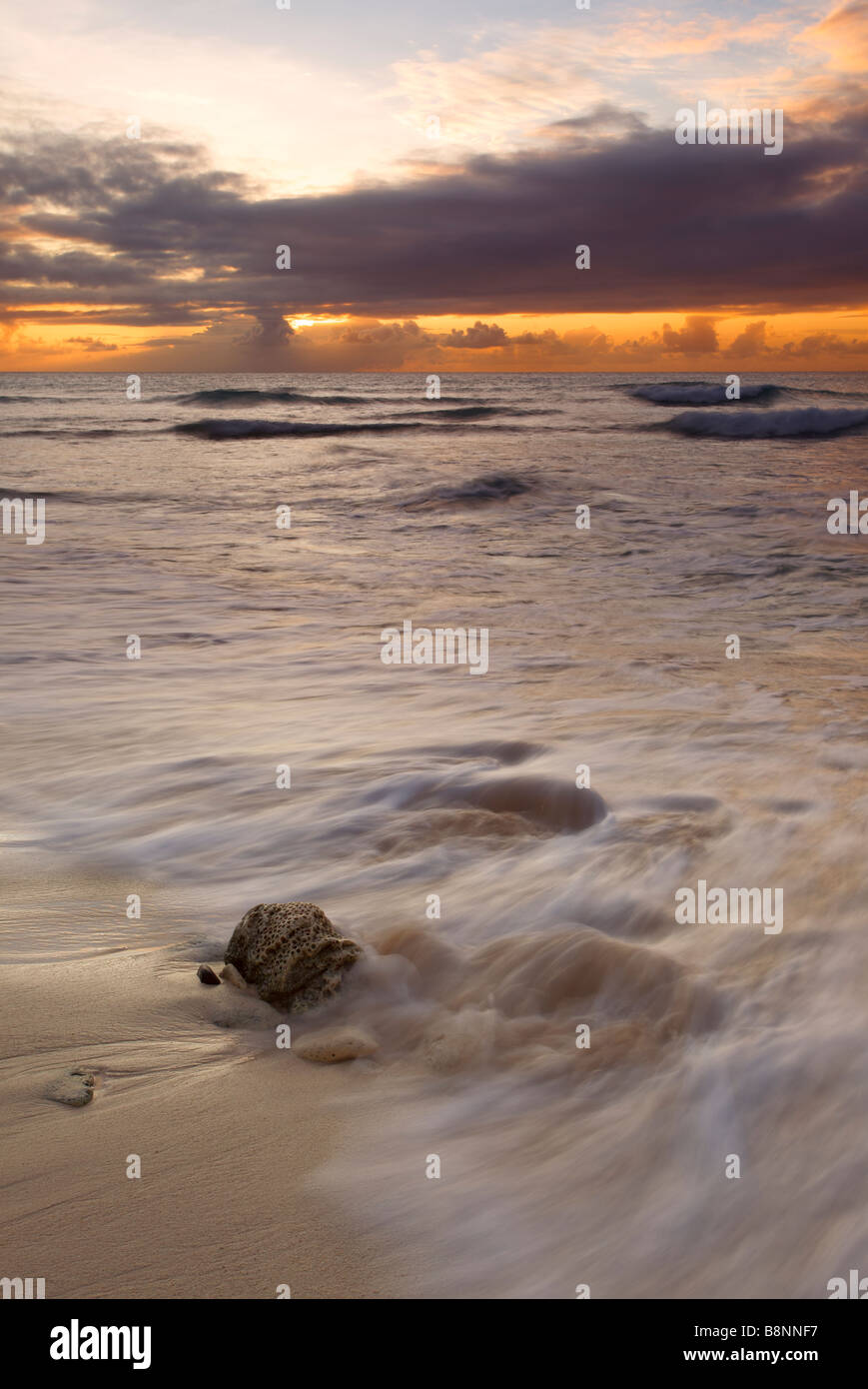 Pebbles beach barbados hi-res stock photography and images - Alamy
