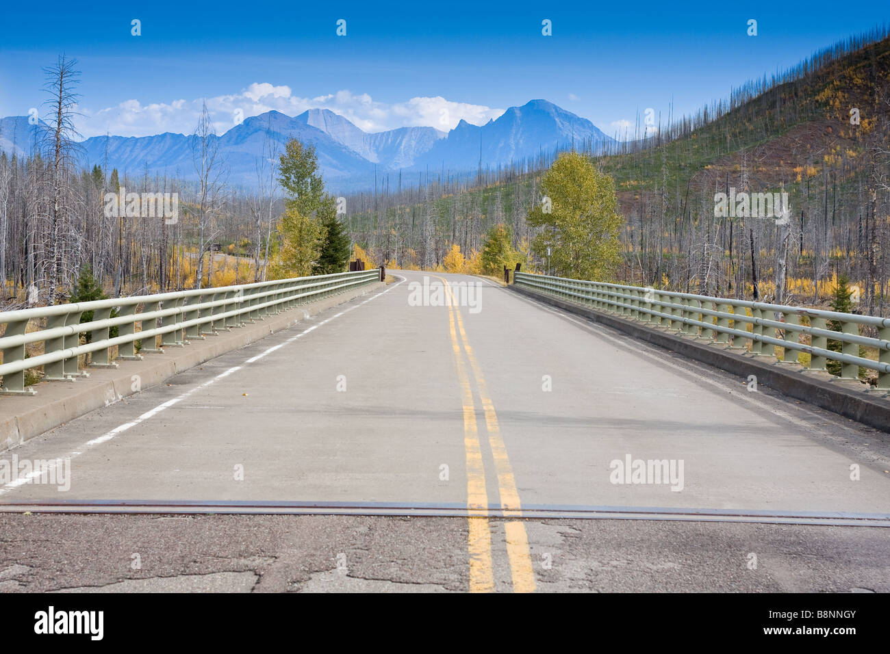 bridge at Glacier National Park Stock Photo - Alamy