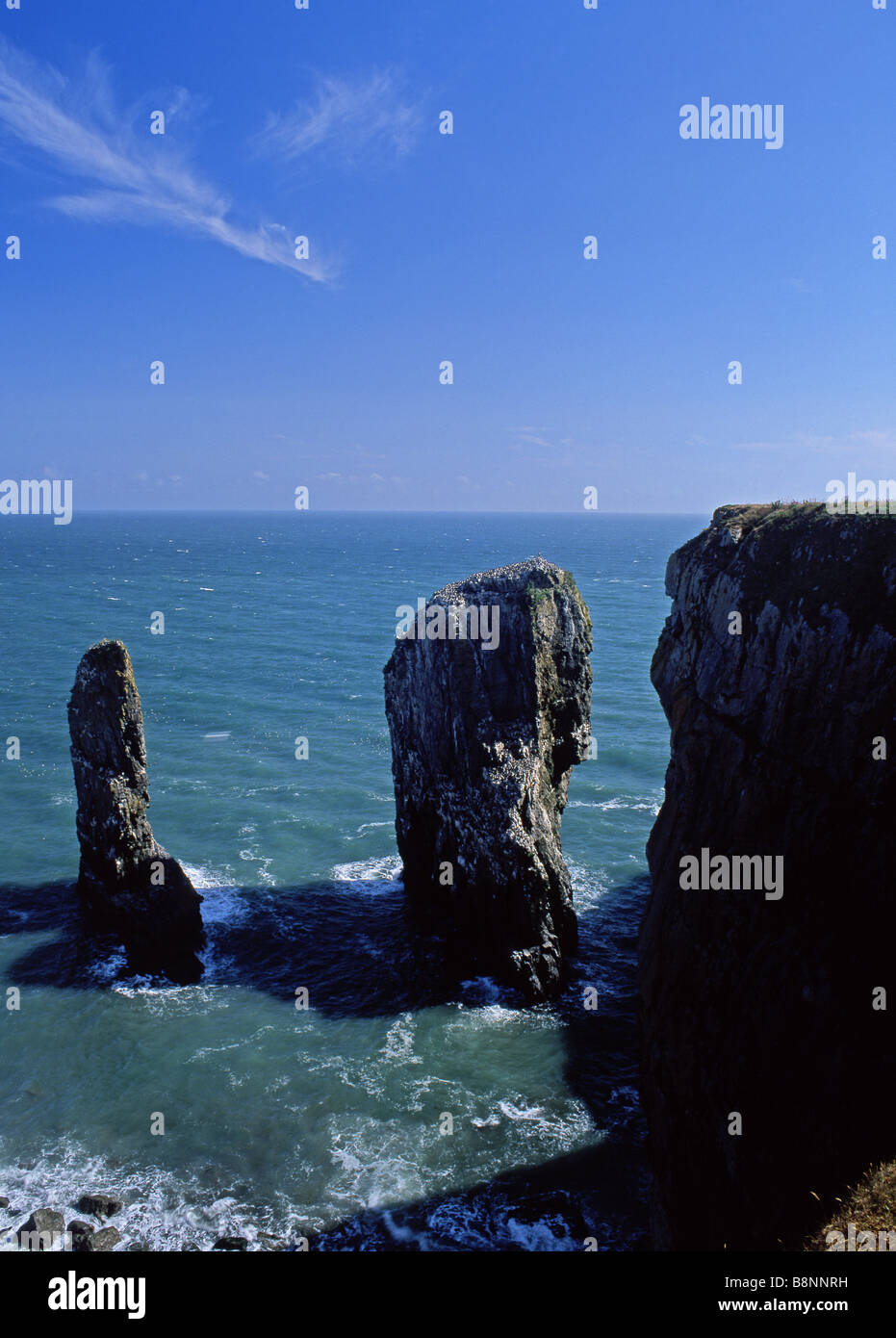 Elegug stack rocks hi-res stock photography and images - Alamy