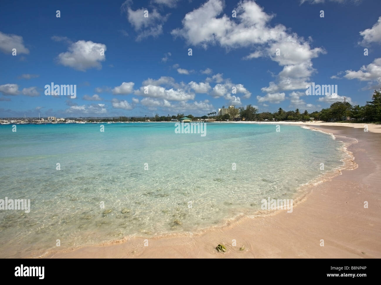 Pebbles Beach at West Coast of Barbados, "West Indies Stock Photo - Alamy