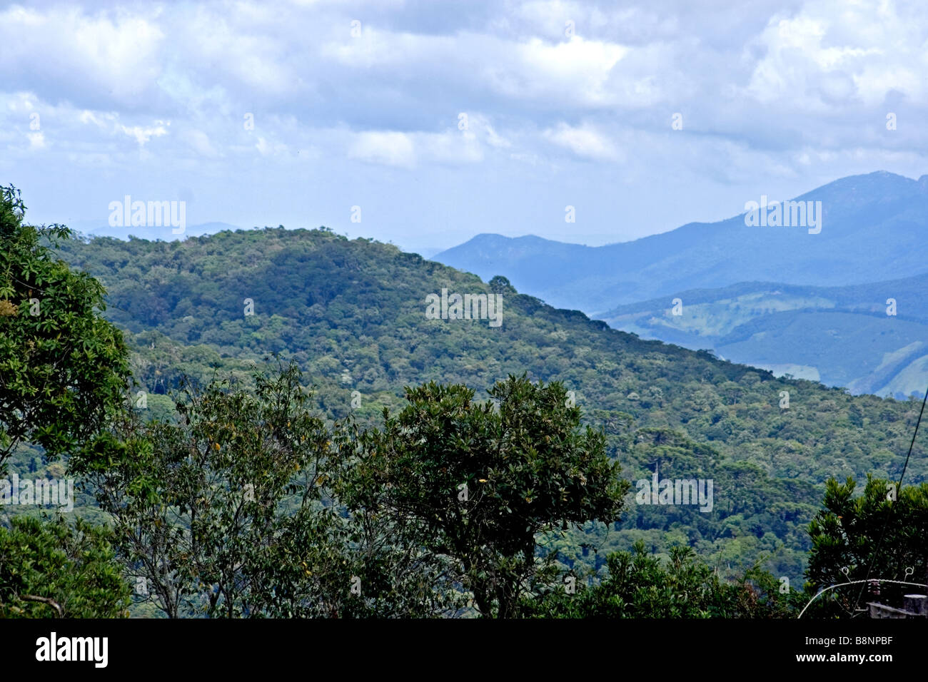 Brazilian highlands hi-res stock photography and images - Alamy