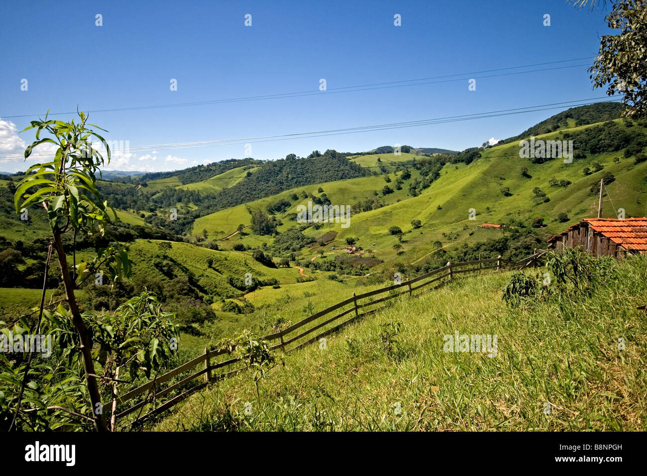 Brazilian countryside hi-res stock photography and images - Alamy