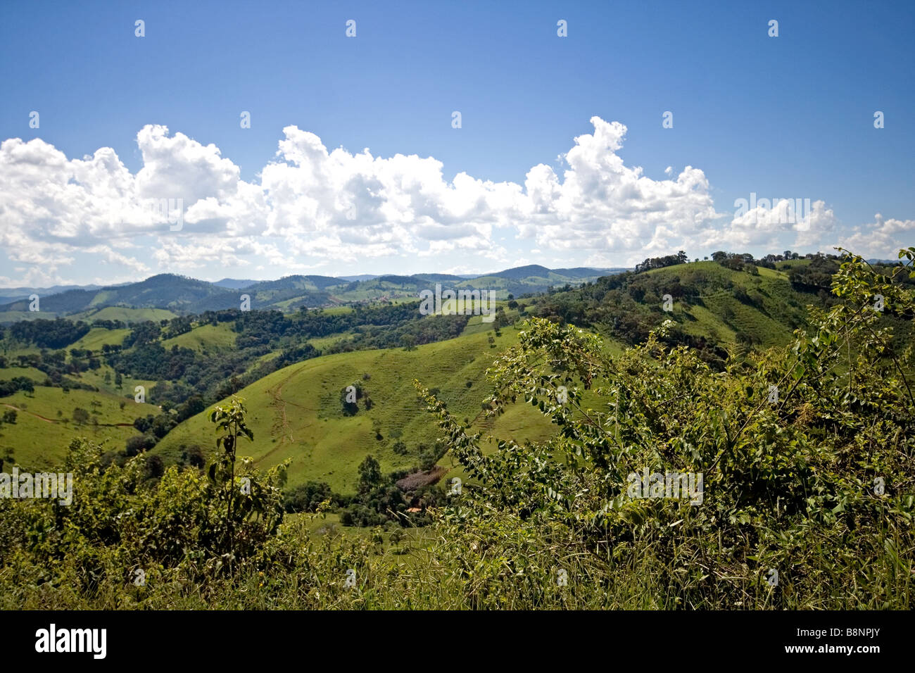 Brazilian countryside hi-res stock photography and images - Alamy