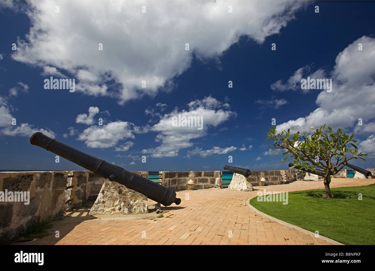 English iron cannons from 17th century at Needham's Point, Barbados ...