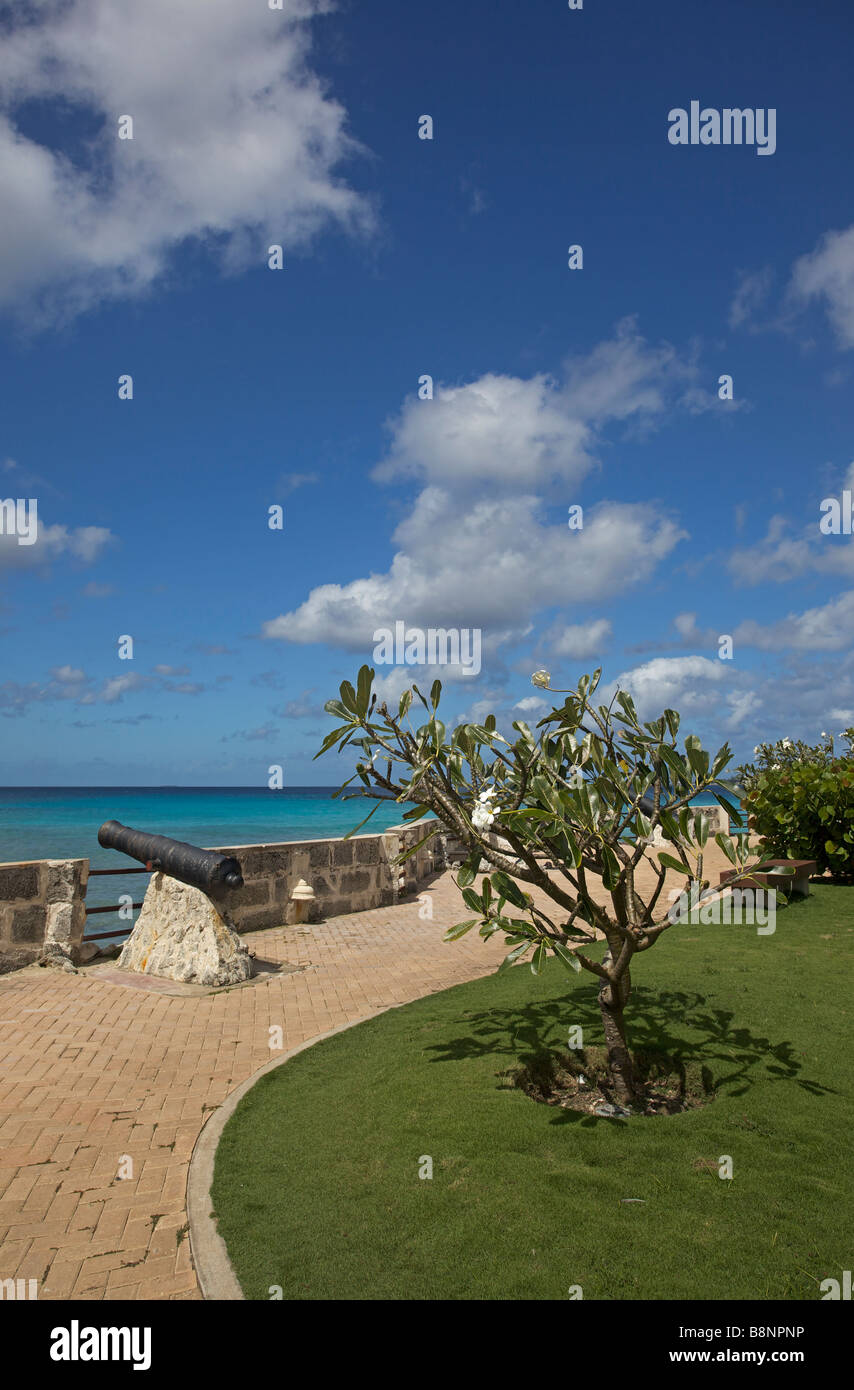 English iron cannons from 17th century at Needham's Point, Barbados ...