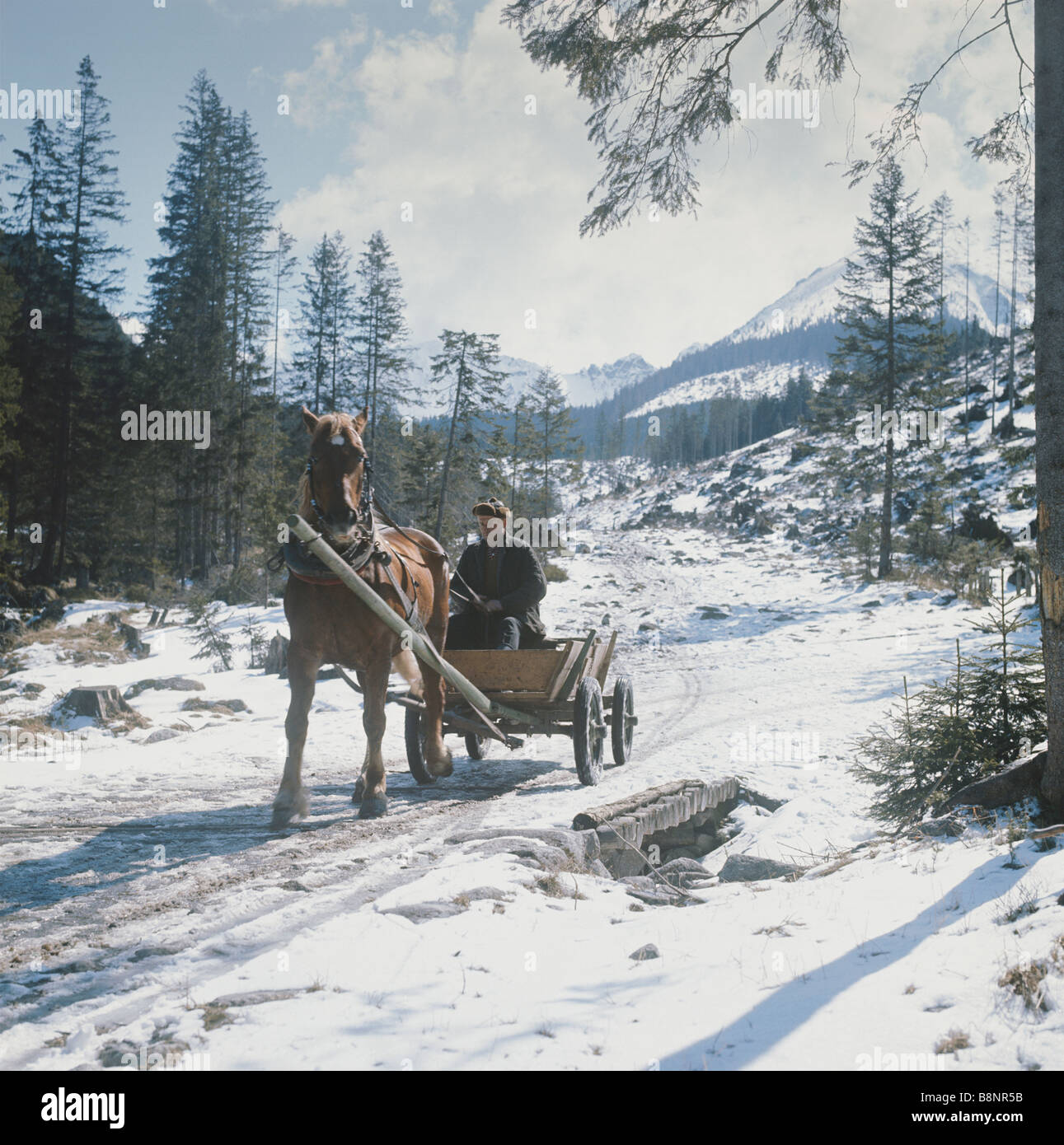 traditional horse and cart tatra mountains zakopane poland Stock Photo ...