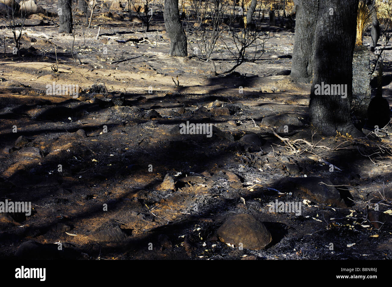 Australian bushfire hi-res stock photography and images - Alamy