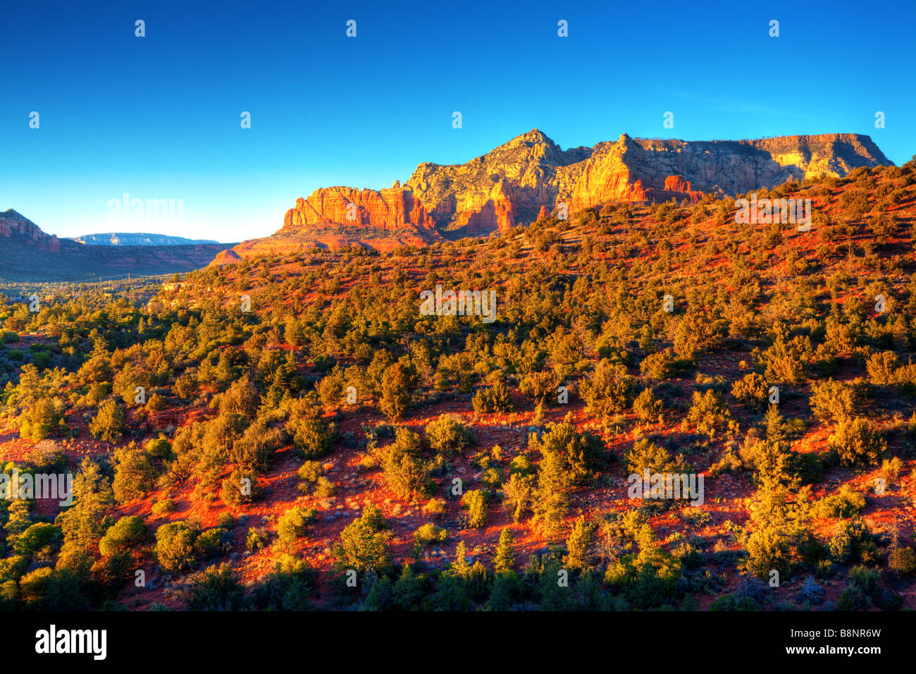 Arizona desert sunset hi-res stock photography and images - Alamy
