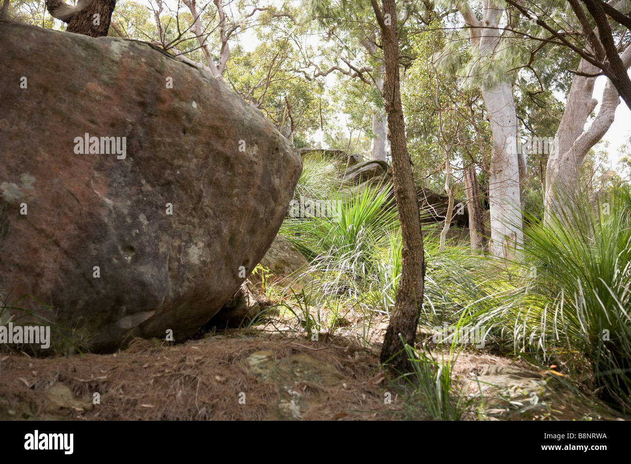 Resolute beach sydney hi-res stock photography and images - Alamy
