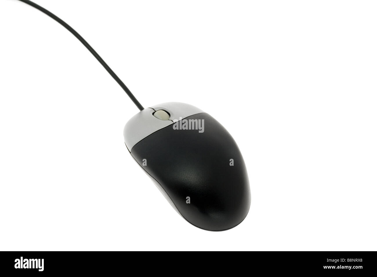 Black and gray mouse isolated on white Stock Photo - Alamy