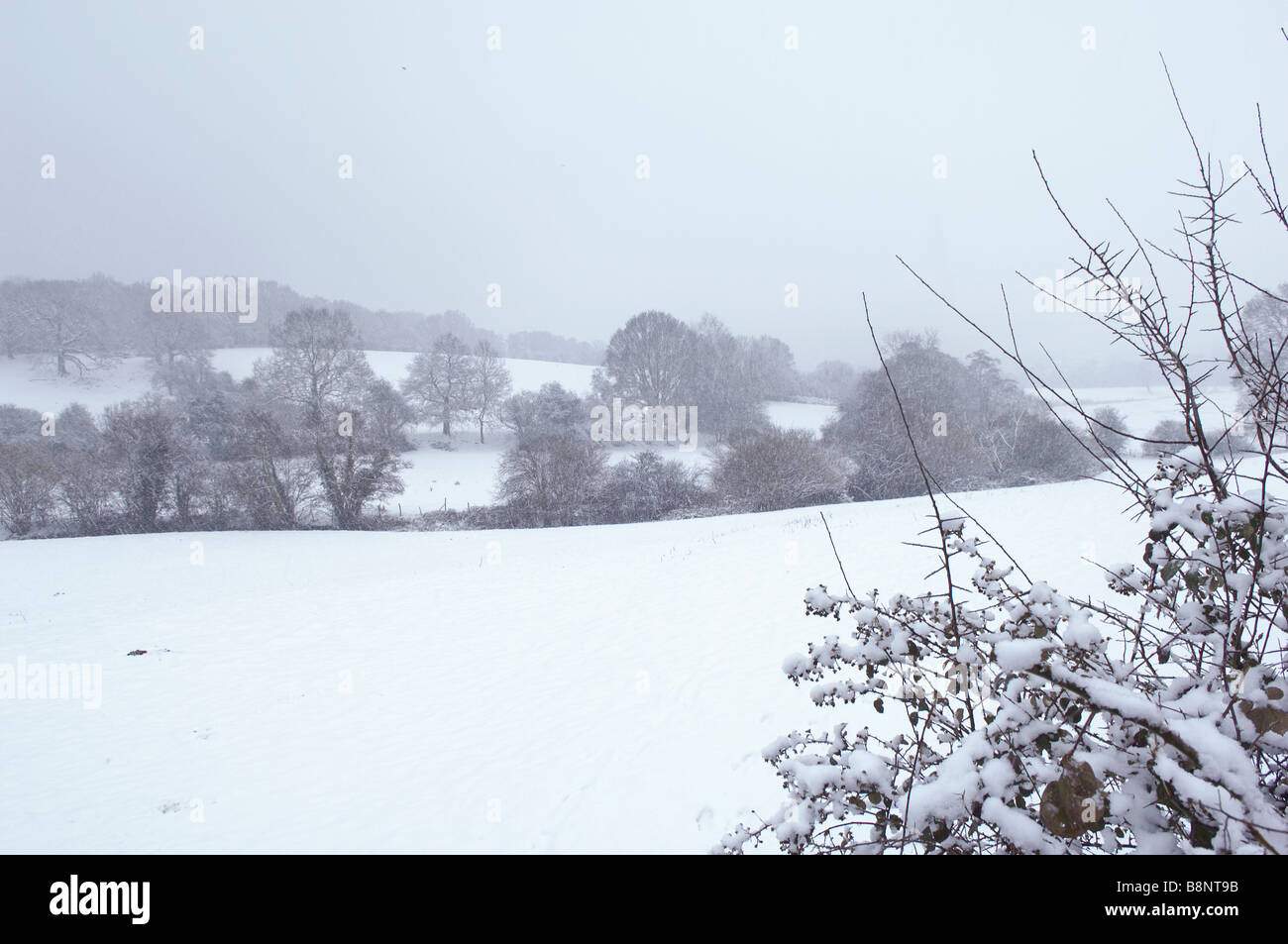snow scene kent england Stock Photo - Alamy
