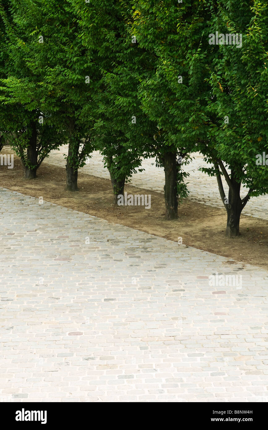 France, Paris, line of trees in park Stock Photo - Alamy
