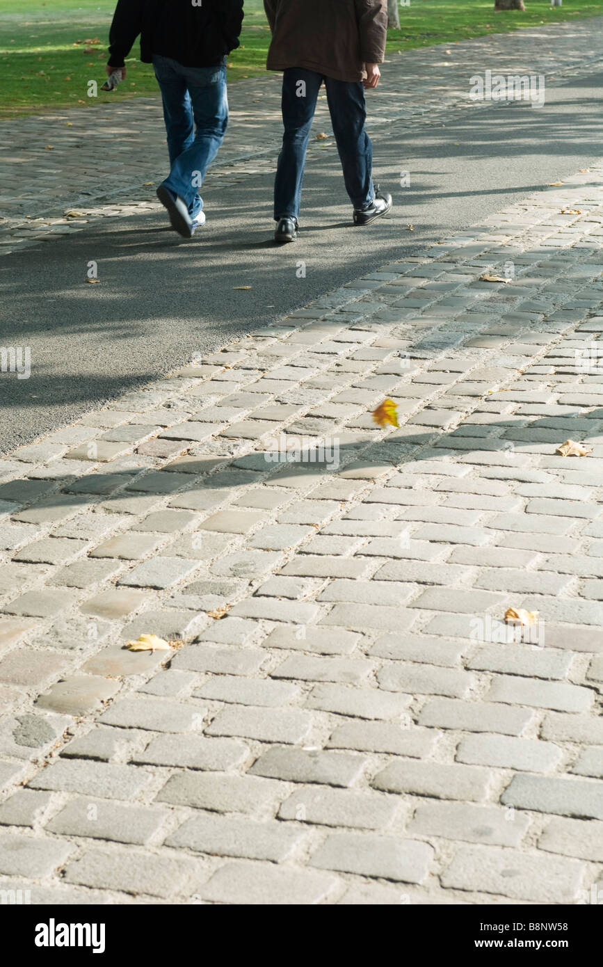 Pedestrians walking along paved path in park, low section Stock Photo ...