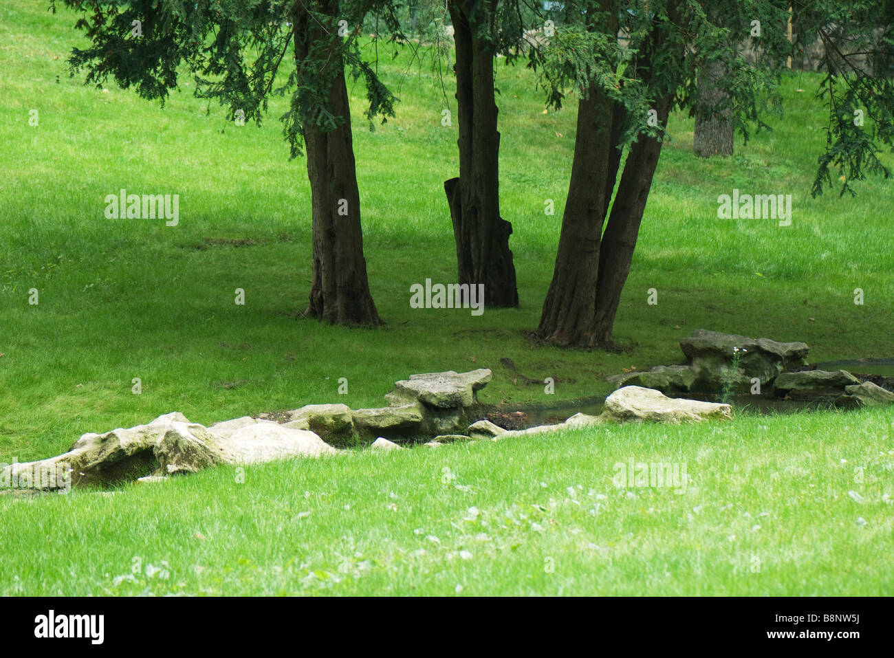 France, Paris, grassy park scene Stock Photo - Alamy