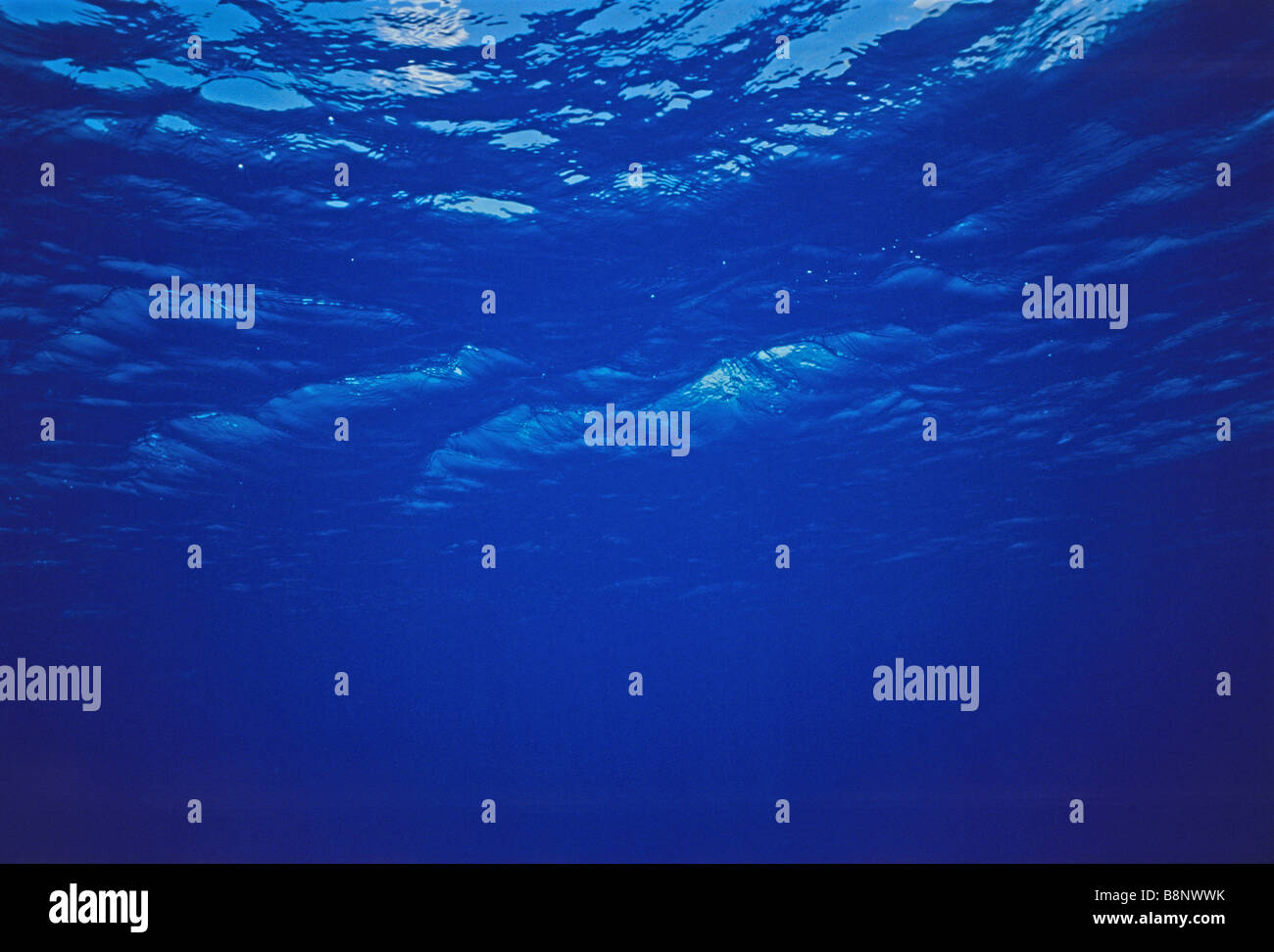WATER SURFACE FROM UNDERWATER Stock Photo - Alamy