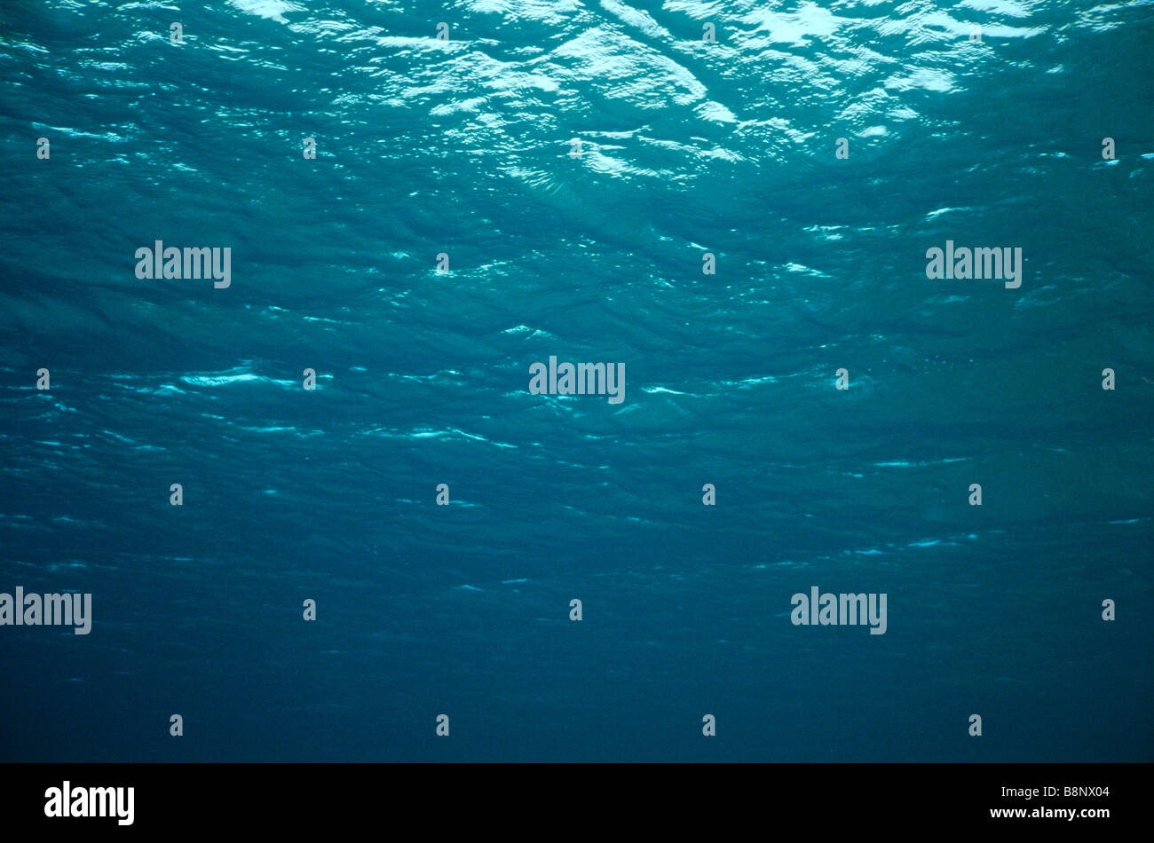 WATER SURFACE FROM UNDERWATER Stock Photo - Alamy
