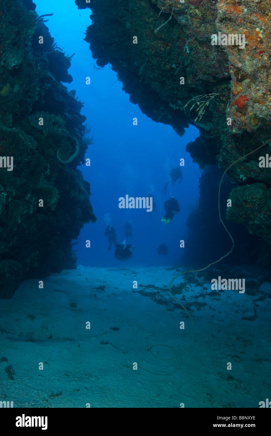 Divers swimming through a gap in the reef Stock Photo - Alamy