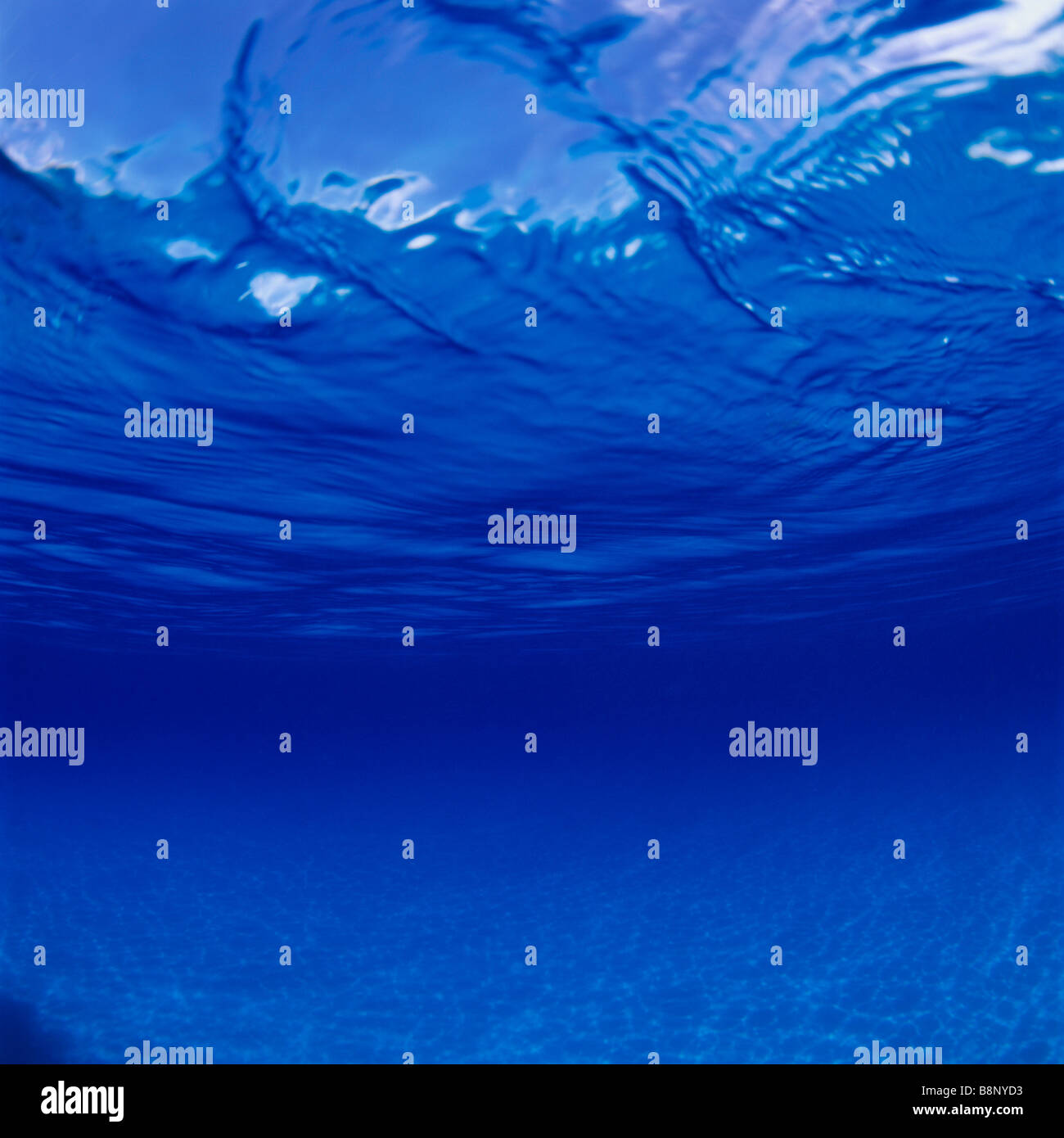 WATER SURFACE FROM UNDERWATER Stock Photo - Alamy