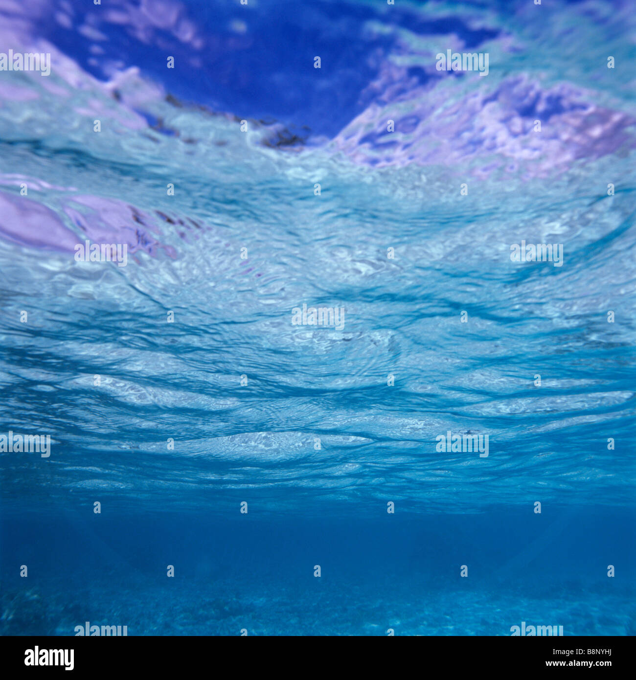 WATER SURFACE FROM UNDERWATER Stock Photo - Alamy