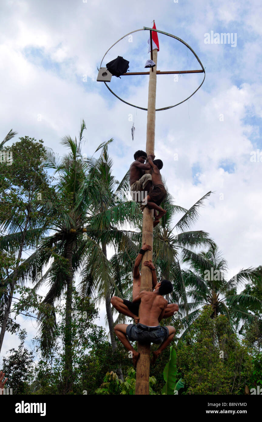 bamboo climbing racing,Bali,Indonesia Stock Photo - Alamy