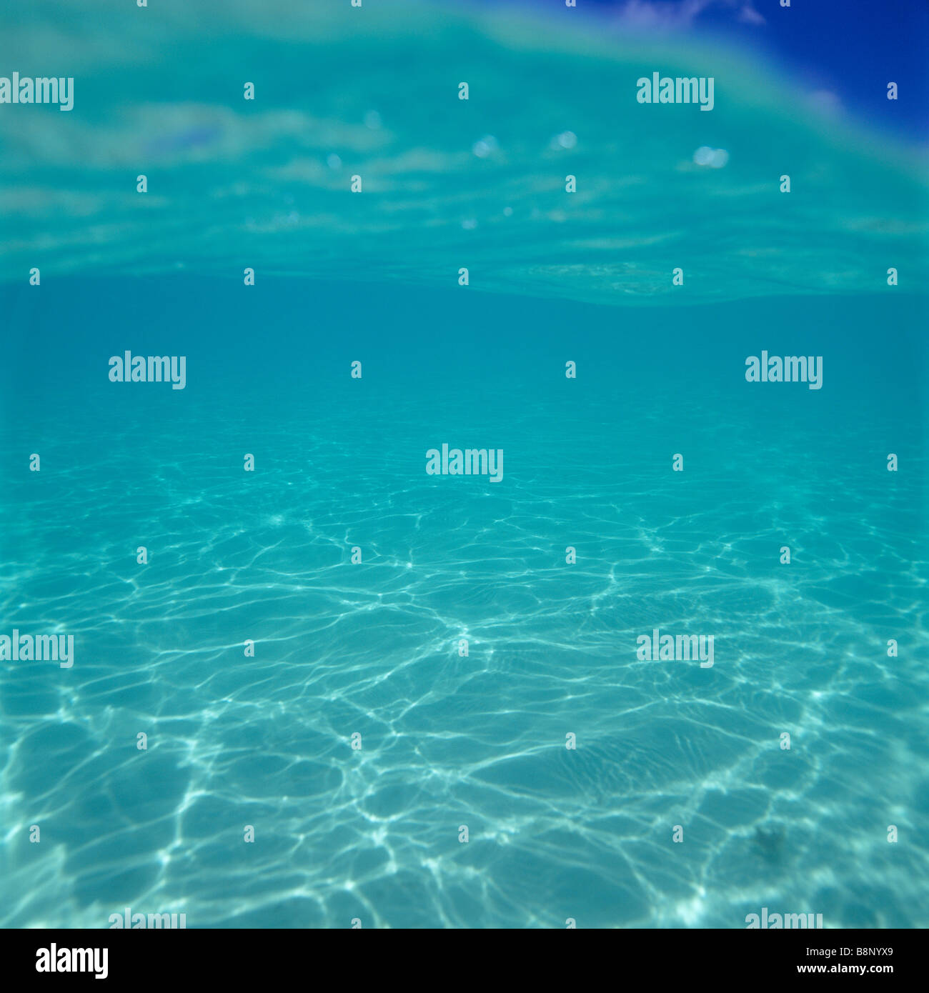 WATER SURFACE FROM UNDERWATER Stock Photo - Alamy