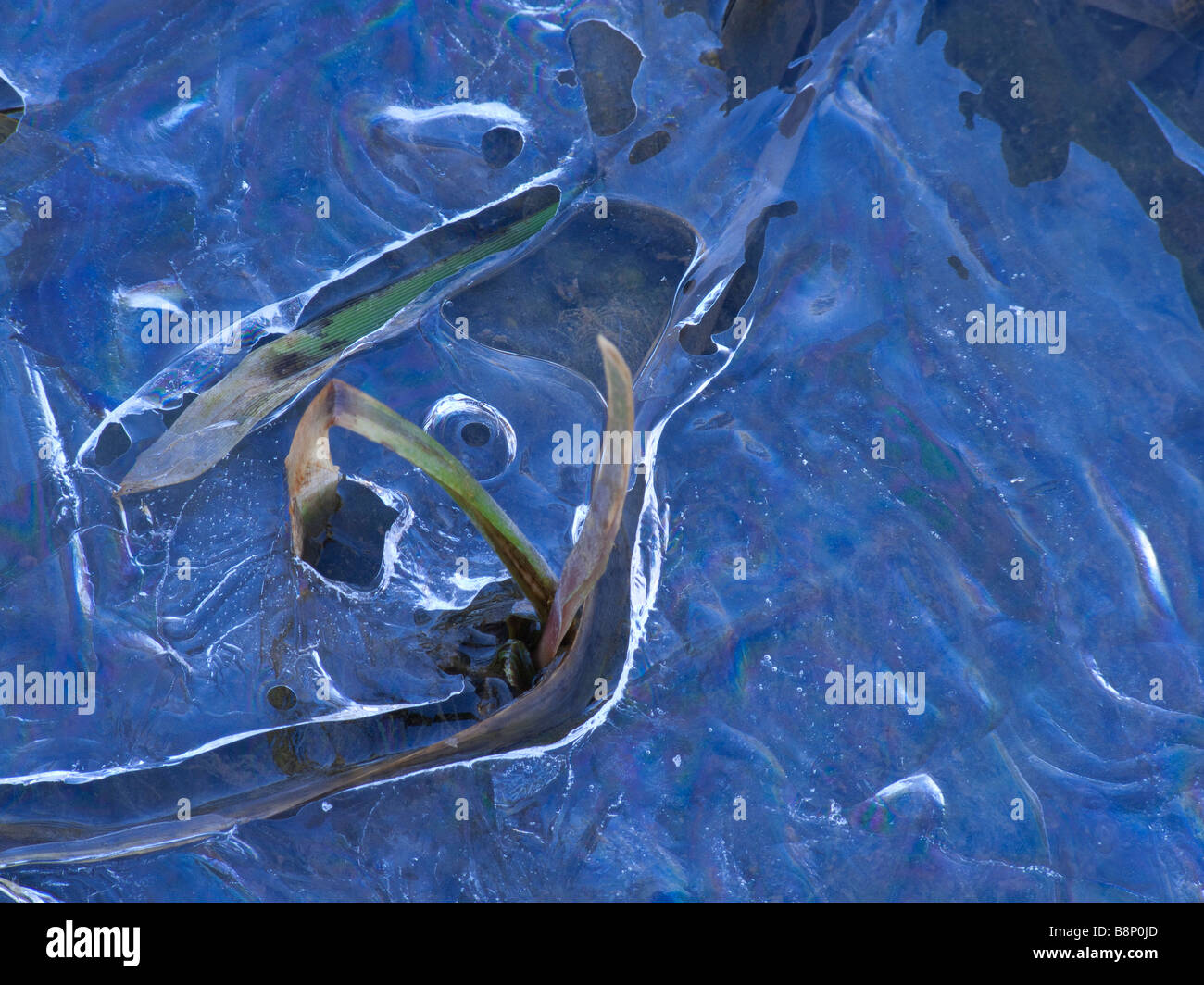 Ice abstract hi-res stock photography and images - Alamy