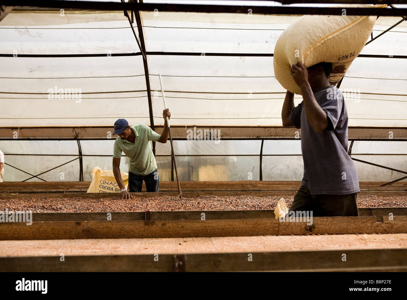 Cocoa processing factory, Dominican Republic Stock Photo - Alamy