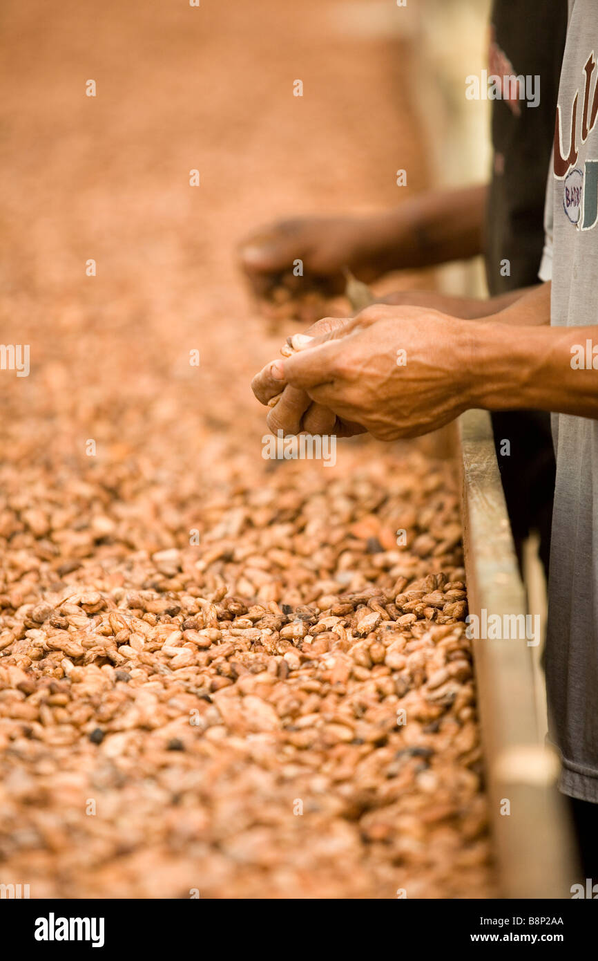 Cocoa factory plant hi-res stock photography and images - Alamy