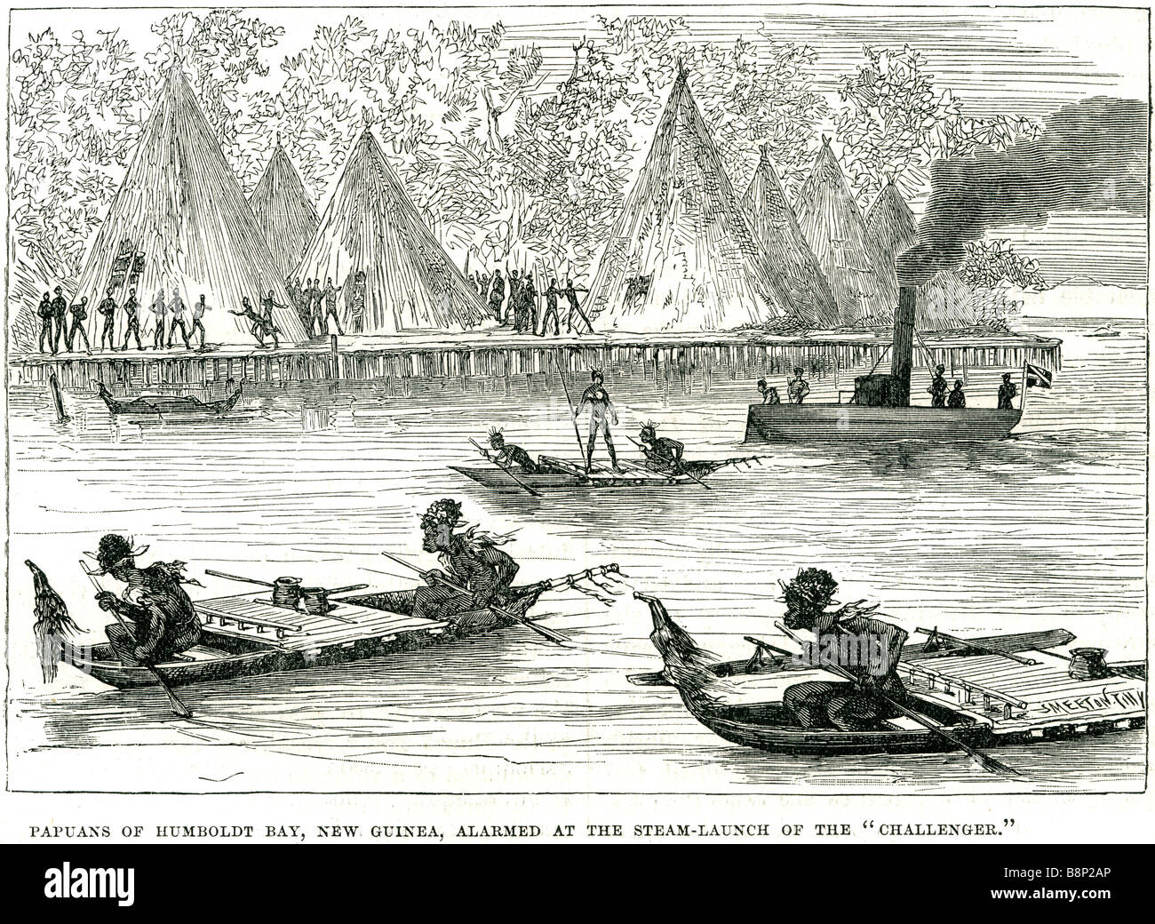 Effects Of The Challenger Expedition