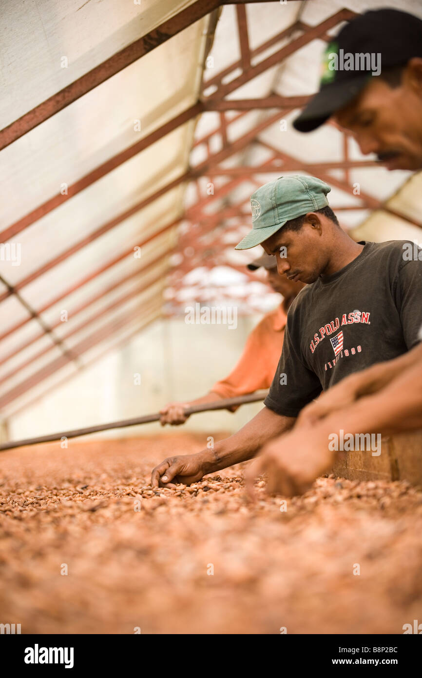 Cocoa processing factory, Dominican Republic Stock Photo - Alamy