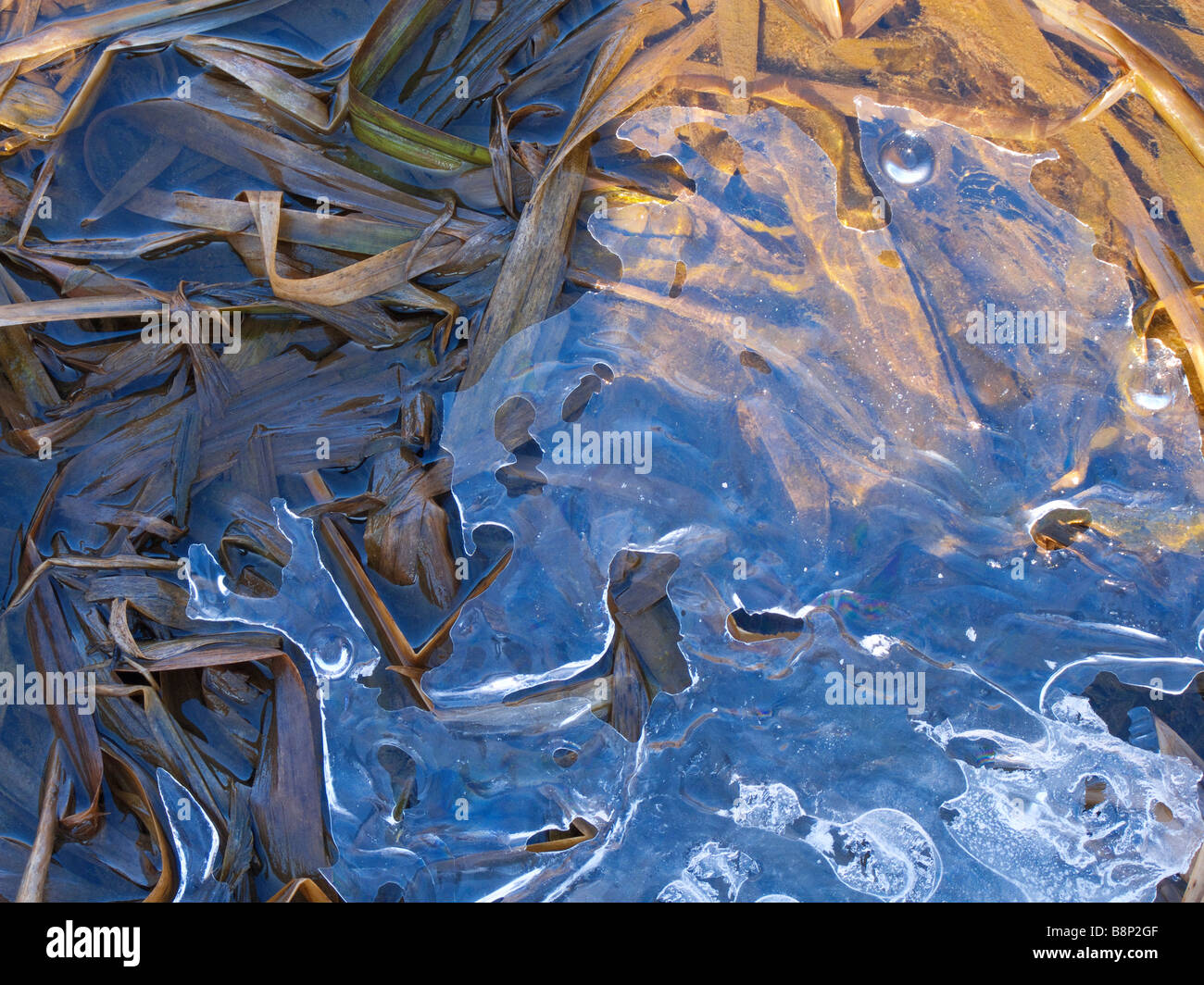 Ice abstract hi-res stock photography and images - Alamy