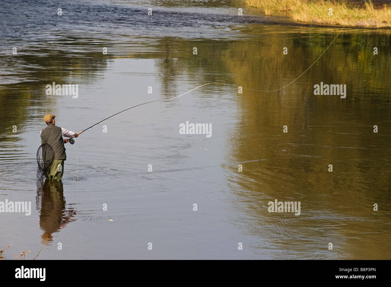 Salmon fishing hi-res stock photography and images - Alamy