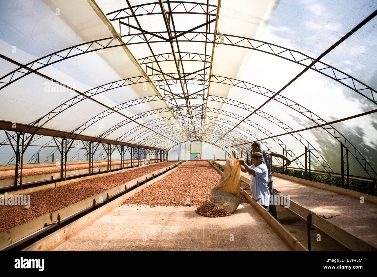 Cocoa processing factory, Dominican Republic Stock Photo - Alamy