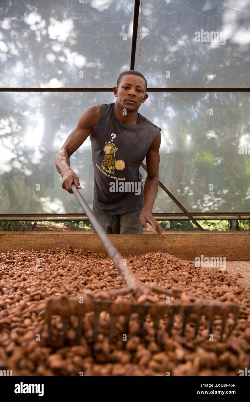 Cocoa processing factory, Dominican Republic Stock Photo - Alamy